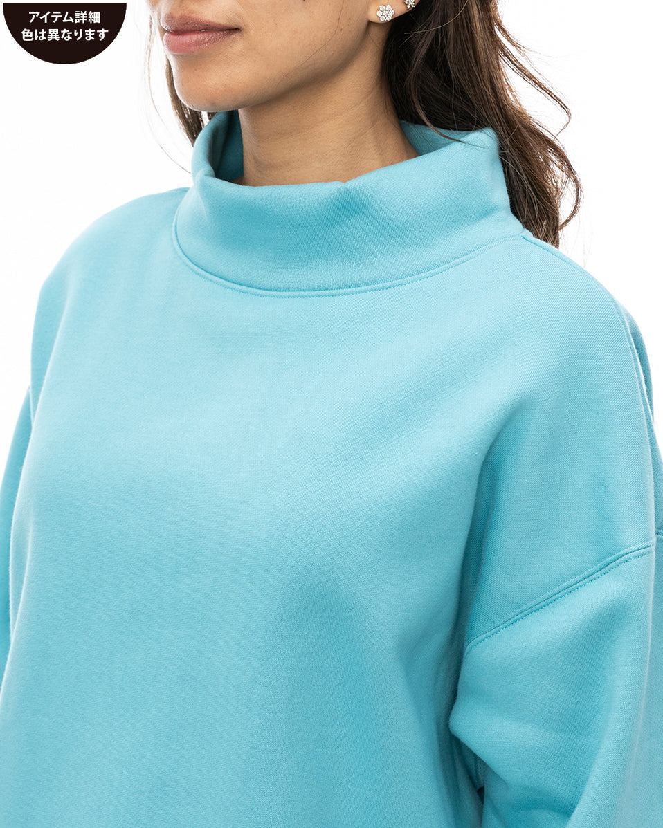 【OUTLET】BILLABONG レディース OFF TURTLE SWEAT SHI トレーナー SCS 【2024年秋冬モデル】